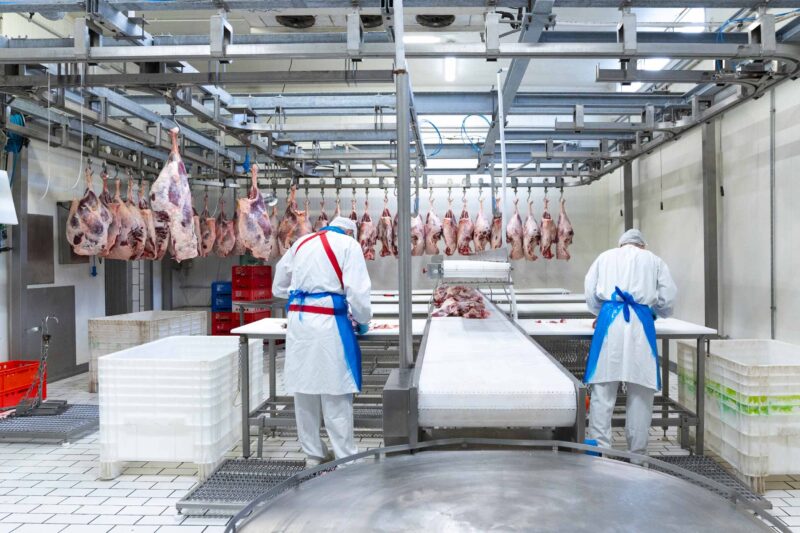 Borgo Carni MF – Produzione e distribuzione carni